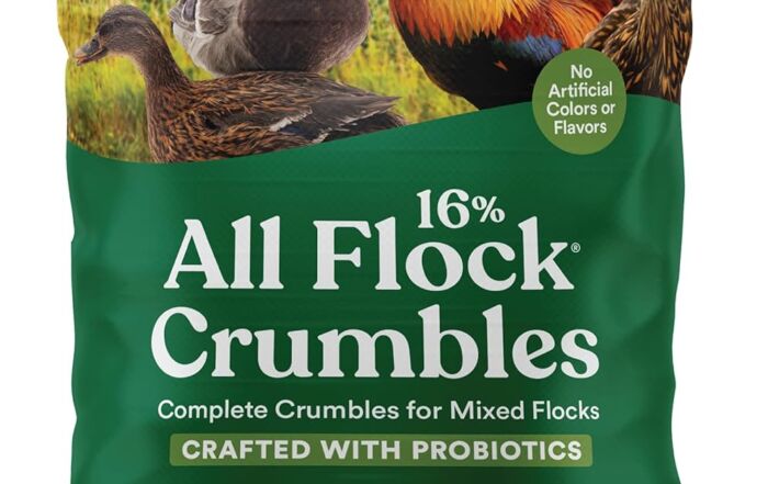 All Flock Crumbles Old South Quail Feeders